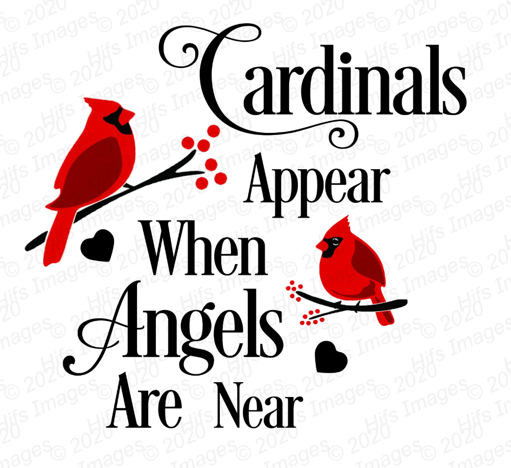 Spiritual Signs: Cardinals Appear When Angels Are Near - Understanding ...