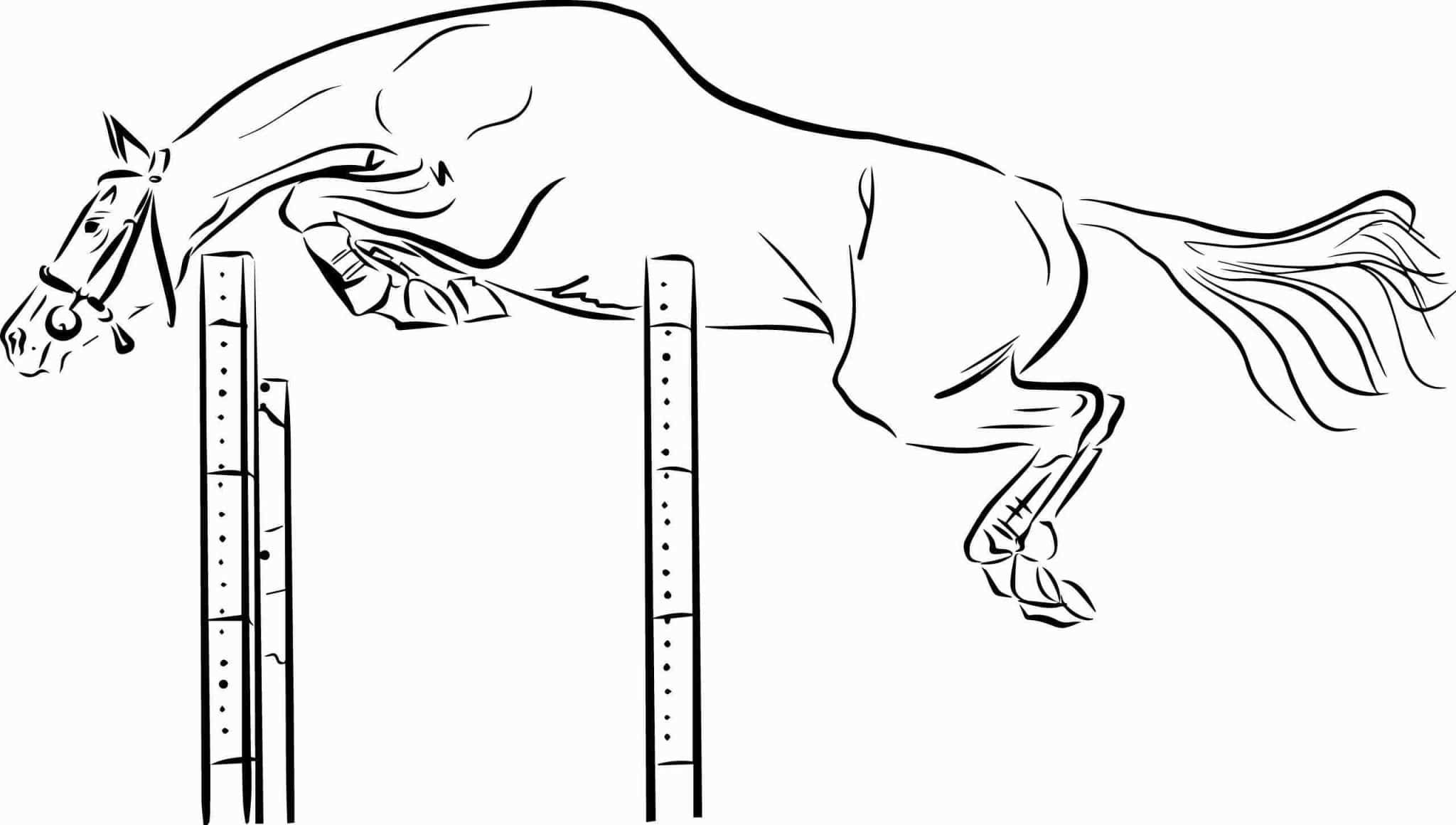 What Does 15 Hands Mean in Horse Height? Explained in Feet